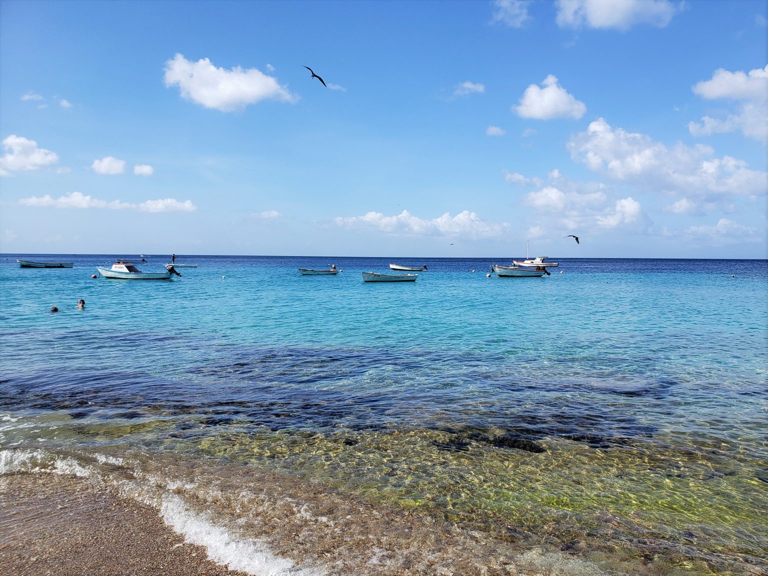 Playa Piskado: tartarugas em Curaçao - Passagem Comprada