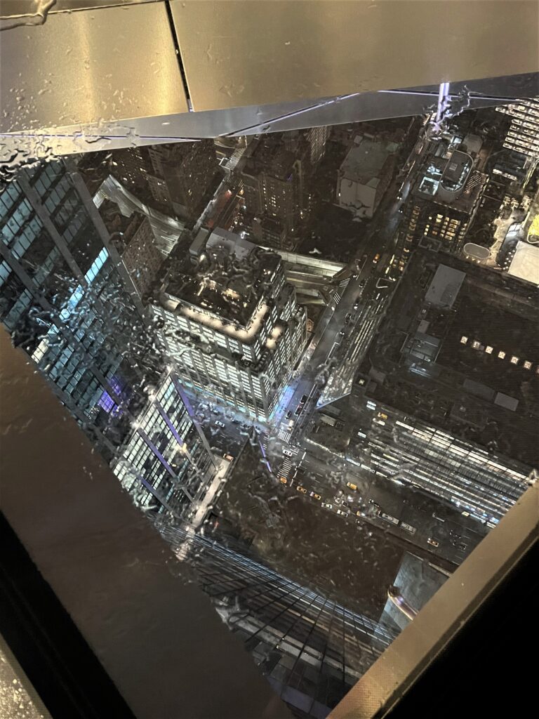 Edge NYC: o observatório do Hudson Yards - Passagem Comprada