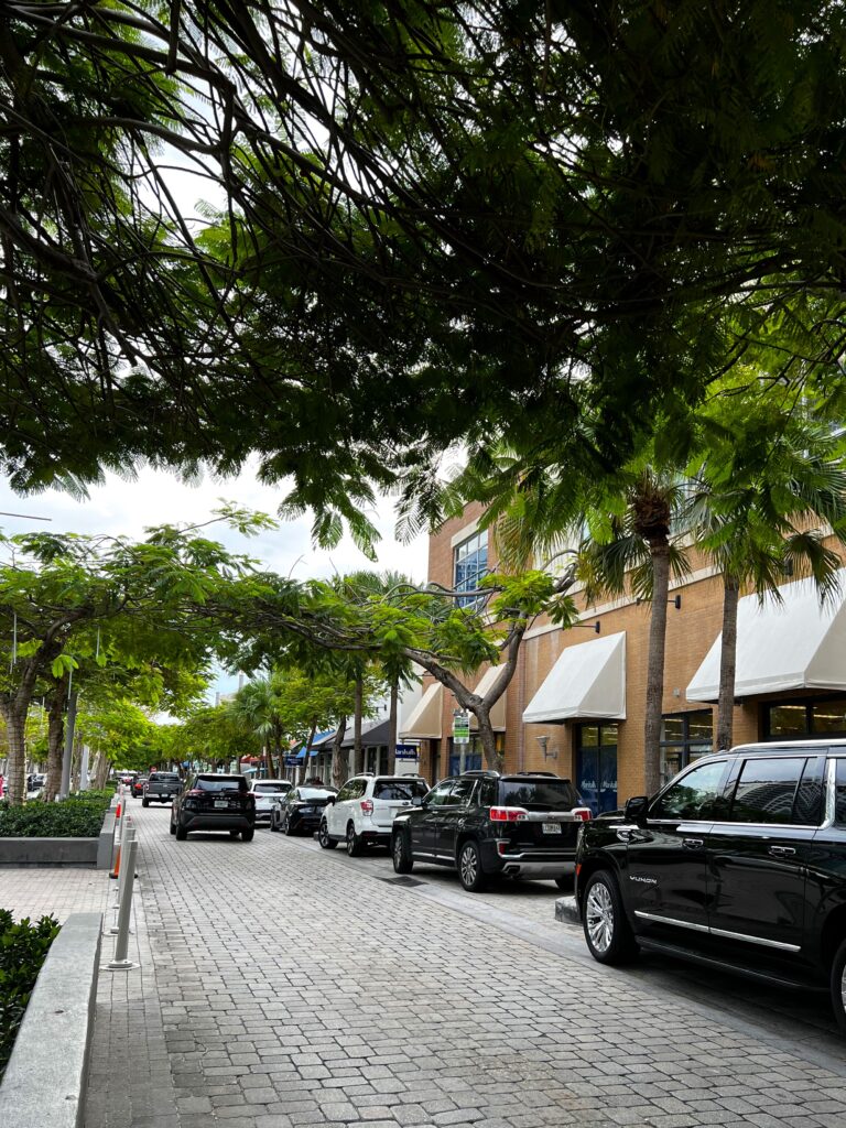 O que fazer em Miami em 5 dias - Passagem Comprada