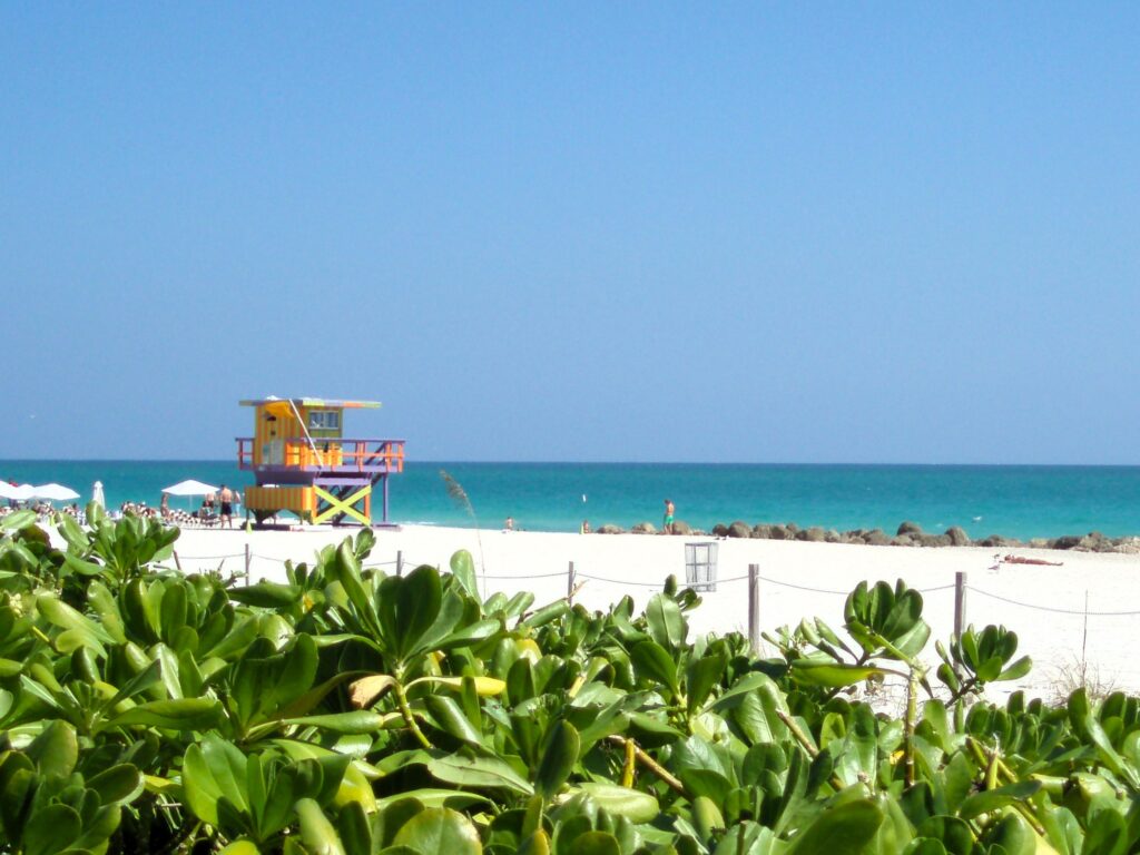 O que fazer em Miami em 5 dias - Passagem Comprada